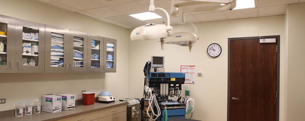 Talented Plastic Surgeon in Chicago | The Art of Plastic Surgery